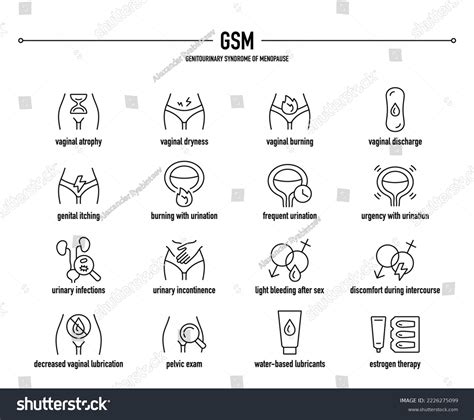 Gsm Genitourinary Syndrome Menopause Symptoms Diagnostic Stock Vector