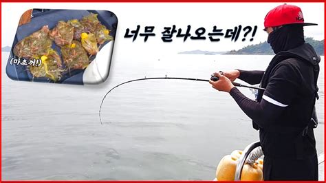 삼천포 문어 낚시 살아나는 조황 이제 사이즈 큰문어 잡으러 갑시다 Youtube