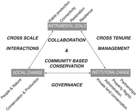 Conceptual Framework For Connectivity Conservation Download Scientific Diagram
