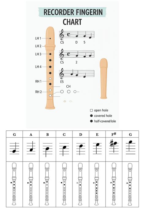 Recorder Fingering Chart Interactive Guide And Learning Resources