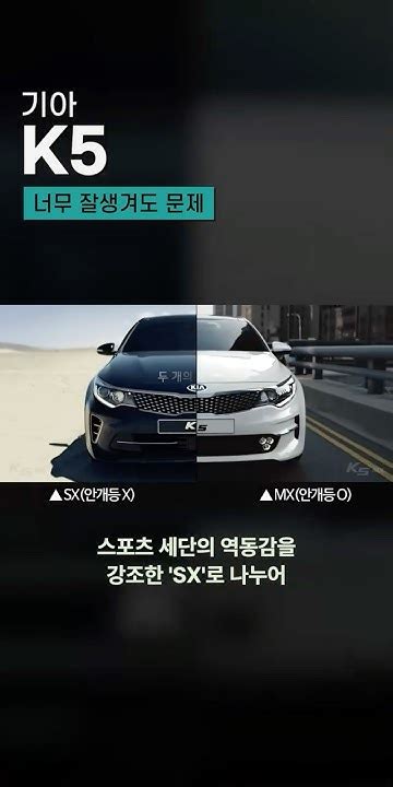 뭘 좋아할지 몰라서 다 준비함 올 뉴 K5 Youtube