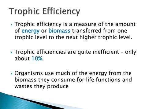 Ppt Trophic Levels Trophic Efficiency Bioaccumulation Powerpoint