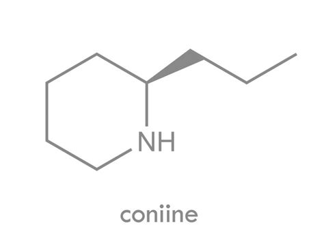Alkaloid Toxin Over 153 Royalty Free Licensable Stock Illustrations And Drawings Shutterstock