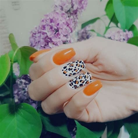 შილაკი რუსთავში