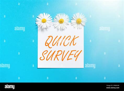 Inspiration Showing Sign Quick Survey Word Written On Conduct Fast Check On Condition Value