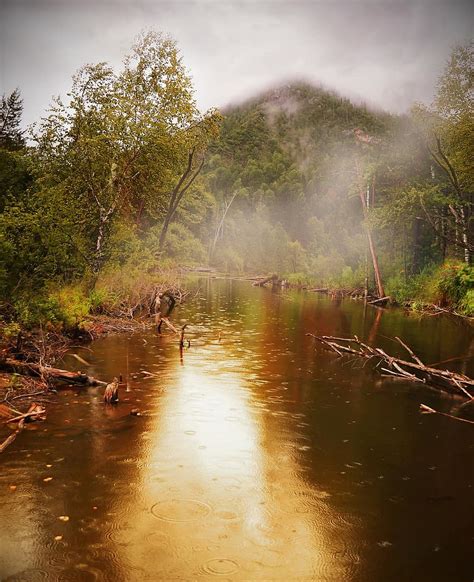 Royalty Free Environment Photos Pikist
