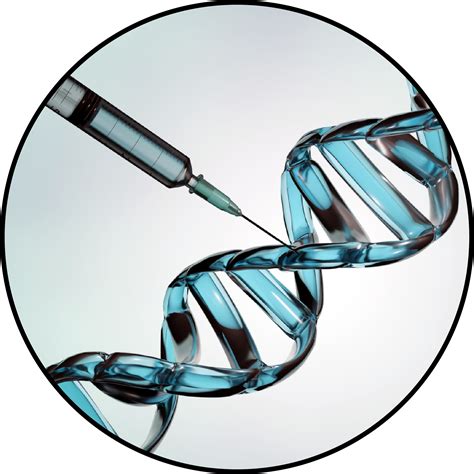 Gene Therapy And Rna Research Services