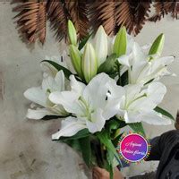 Jual Bunga Lily Asli Terlengkap Harga Murah Grosir Juni 2024