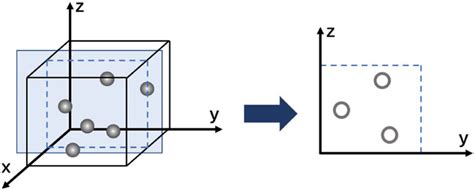 3d microstructure and the 2d cross section download scientific diagram