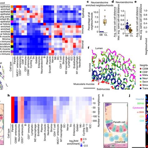 Integration Of Codex Multiplexed Imaging Snrna Seq And Snatacseq