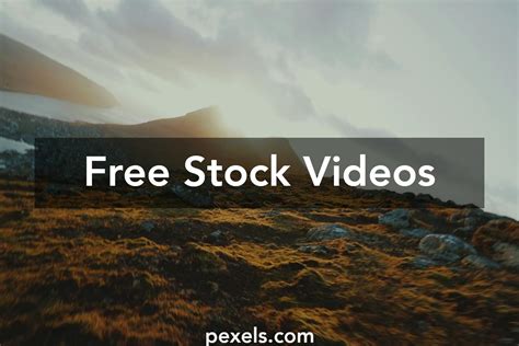 Tumbexrealmomson Videos Download The Best Free 4k Stock Video