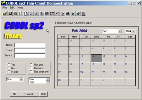 Flexus Cobol Tools And Migration Services Cobol Sp2