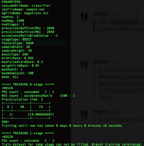 Train Dataset For Temp Stage Can Not Be Filled Branch Training