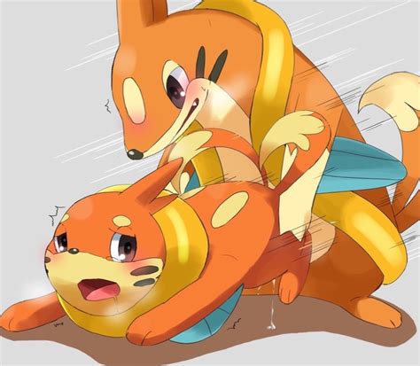 Post 1628149 Buizel Floatzel Porkyman