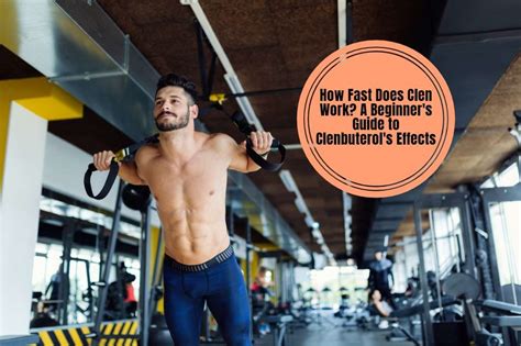 How Fast Does Clen Work A Beginners Guide To Clenbuterols Effects