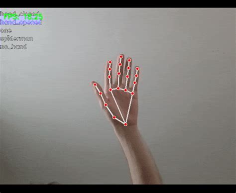 Gesture Recognition