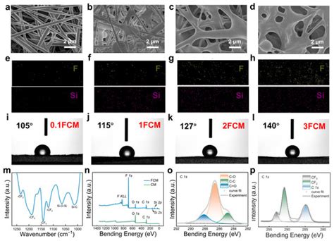 Polymers Editors Choice