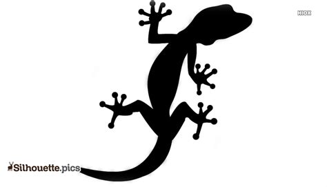 Free Lizard Outlines Download Free Lizard Outlines Png Images Free