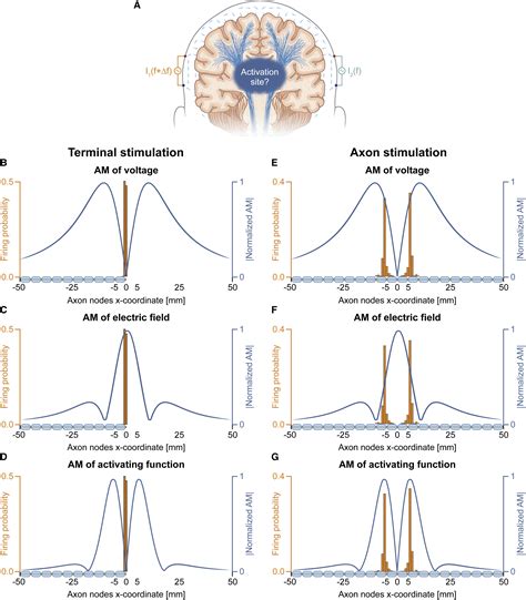 Biophysics Of Temporal Interference Stimulation Cell Systems