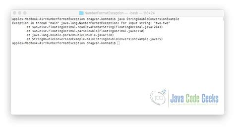 Java Lang NumberFormatException Examples Java Code Geeks