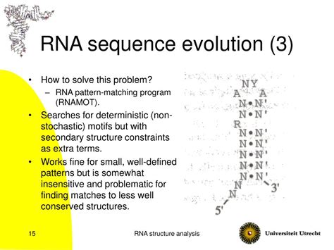 ppt rna structure analysis powerpoint presentation free download