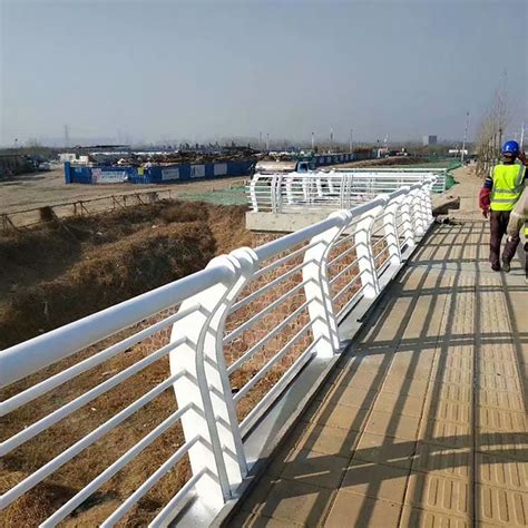 Bridge Fernce On Both Sides Of The Overpass Anti Collision Guardrails