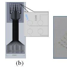 Opto ECoG Array A Initial Design Of Opto ECoG Array B CAD Download Scientific Diagram