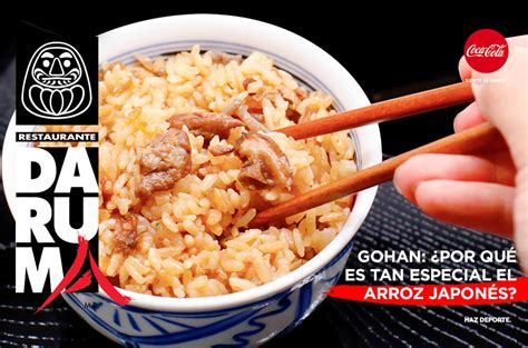 Gohan Por qué es tan especial el arroz japonés DARUMA