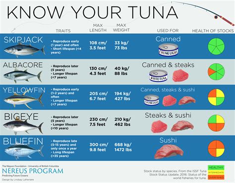 Majority Of Pacific Bluefin Tuna Migrate Across The Ocean Nereus Program The Nippon Foundation