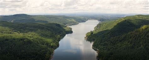 Video Capturing The Important Role Of Working Forests And Wood Products