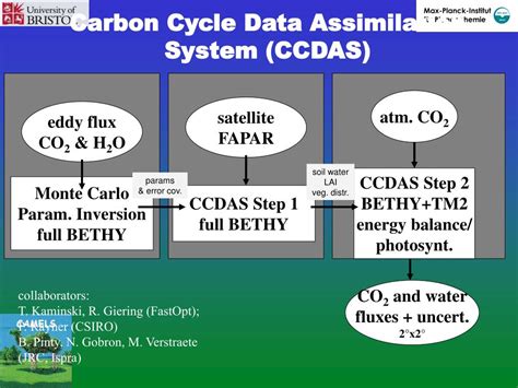 Ppt The Carbon Cycle Data Assimilation System Ccdas Powerpoint