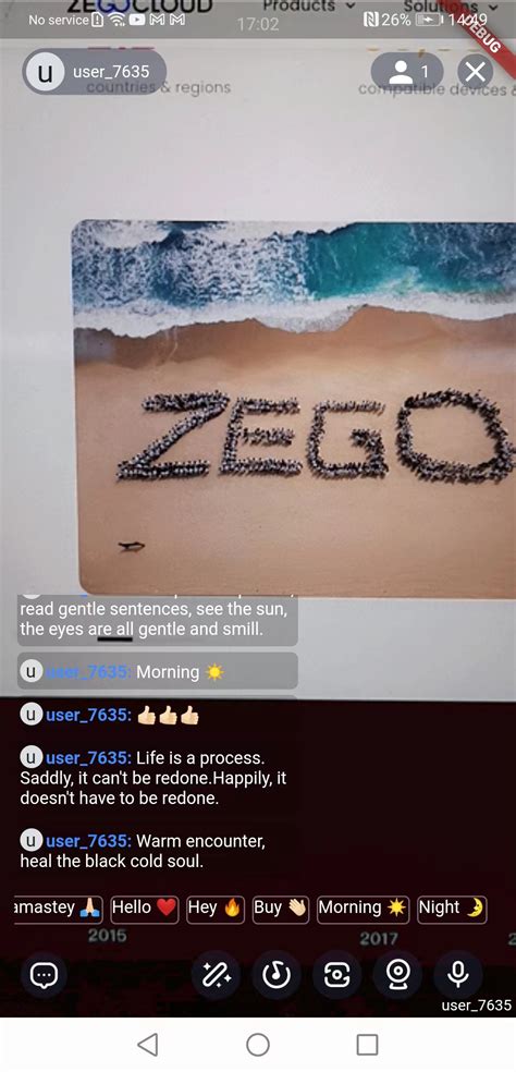 live streaming kit flutter customize the text message ui