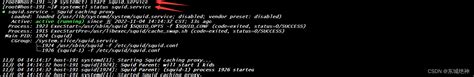 《linux运维总结：内网服务器通过代理访问外网服务器（方法一）》linux系统上面内网服务器通过代理地址访问一个新的地址 Csdn博客