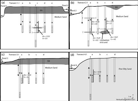 Geologic Cross Sections Of Transects Vertical Black Bars Represent