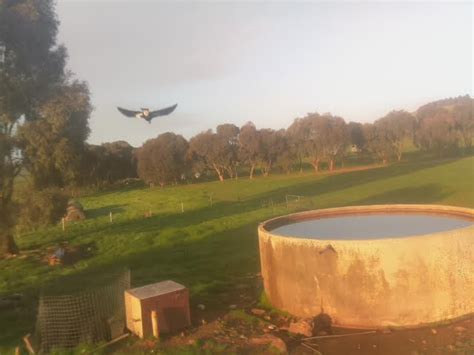 Remote Water Monitoring With A Solar Powered Raspberry Pi Piday
