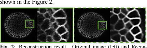 Deep Quantized Representation For Enhanced Reconstruction