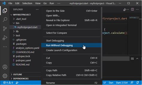 Exécutez votre premier exemple Dart en Visual Studio Code devstory net