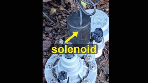 How To Replace The Solenoid On A Sprinkler Valve At Stephanie Felder Blog