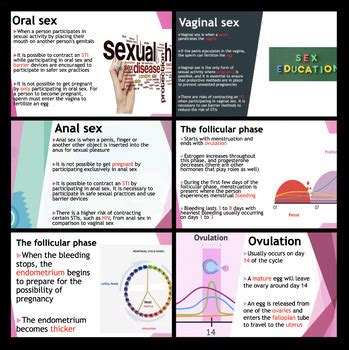 Human Development Sexual Health Menstrual Cycle PowerPoint English