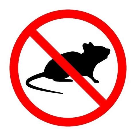 Rat Control Service In Kalyan Id 2856700839073