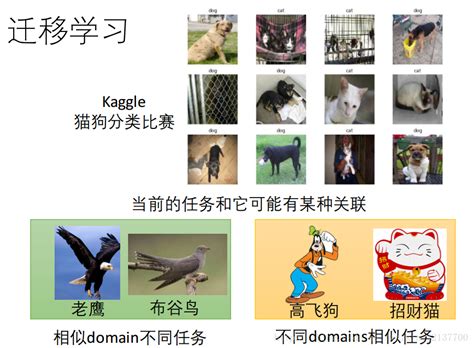 迁移学习简介（transfer Learning） Csdn博客