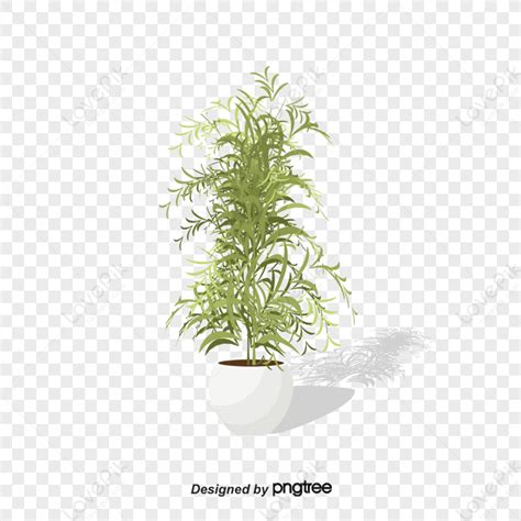 벡터 녹색 분재식물그린자유형 Png 일러스트 무료 다운로드 Lovepik