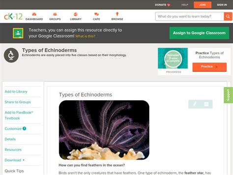 Ck 12 Life Science Types Of Echinoderms Unit Plan For 6th 8th Grade Lesson Planet