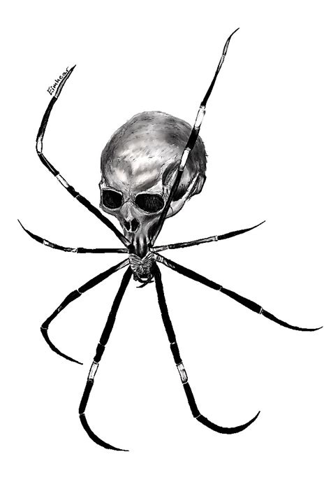 Spider Skull Drawing