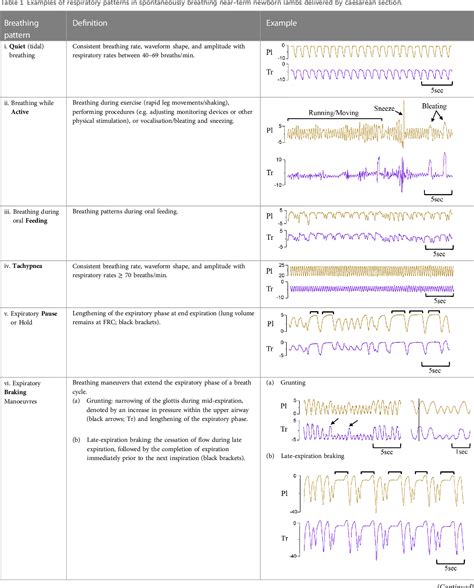 Table 1 From Respiratory Patterns In Spontaneously Breathing Near Term