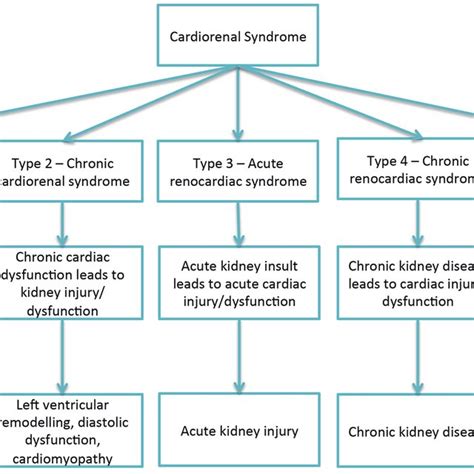 Classification Of Crs Based On Primary Organ Failure By Ronco Et Al 5