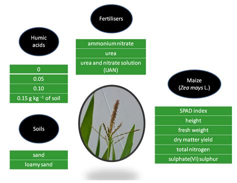 Use Of Organic Materials To Limit The Potential Negative Effect Of Nitrogen On Maize In