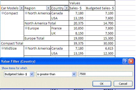 Excel Pivot Tables Filter Data Items Values And Dates Excelanytime