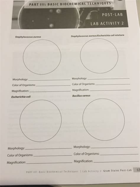 Solved Pa Rt Ⅱi Basic Biochemical Techniques Post La B Lab