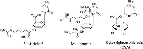 Chemical Structures Of Blasticidin S Mildiomycin And Download